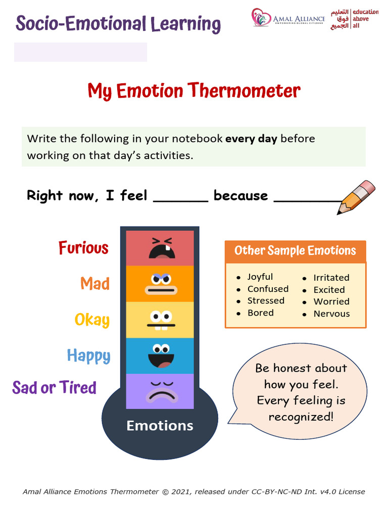 SEL Level 1-2-3 | PDF