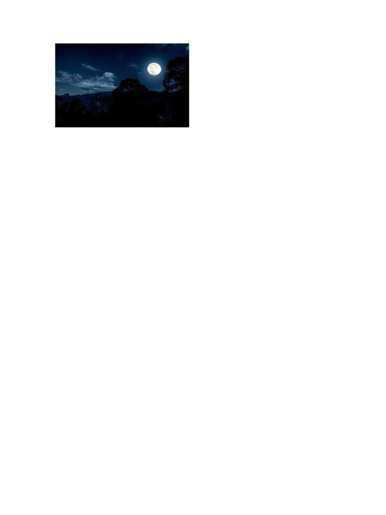 Noite Pdf