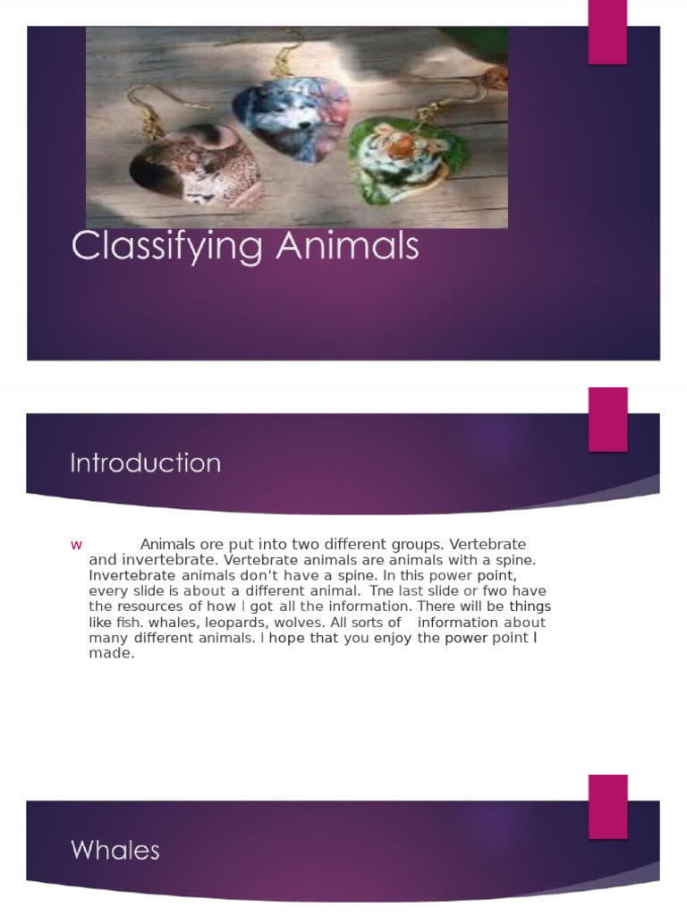 Year B Classification of Living Things | PDF