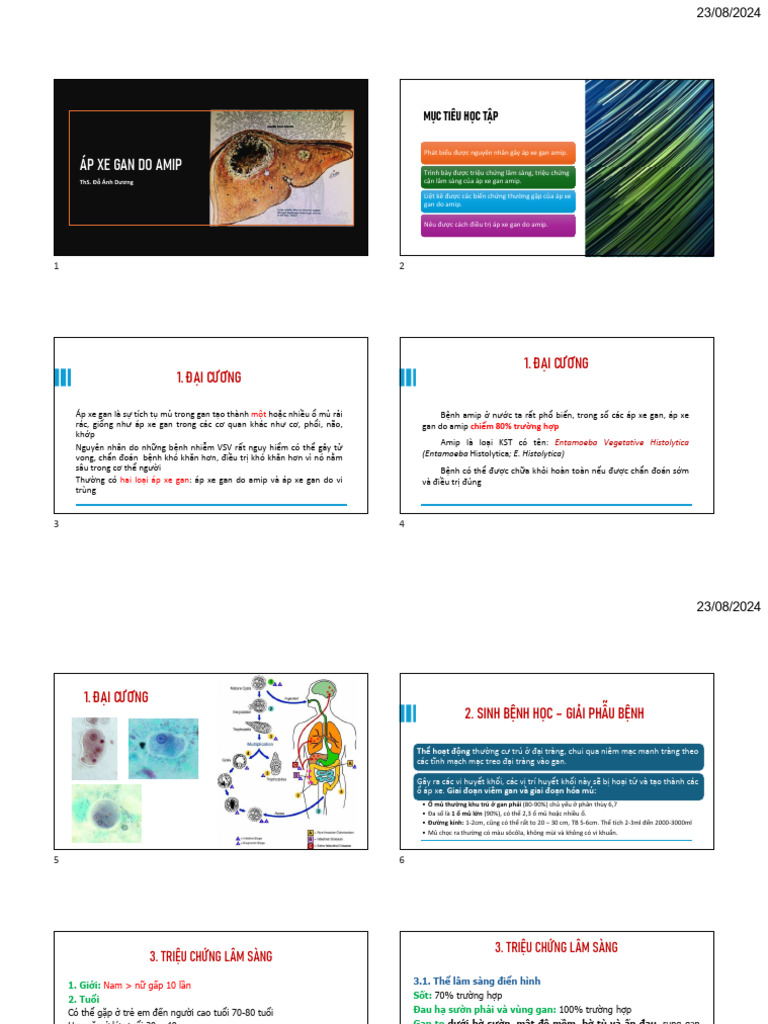 B4.2. Áp Xe Gan Do Amip | PDF