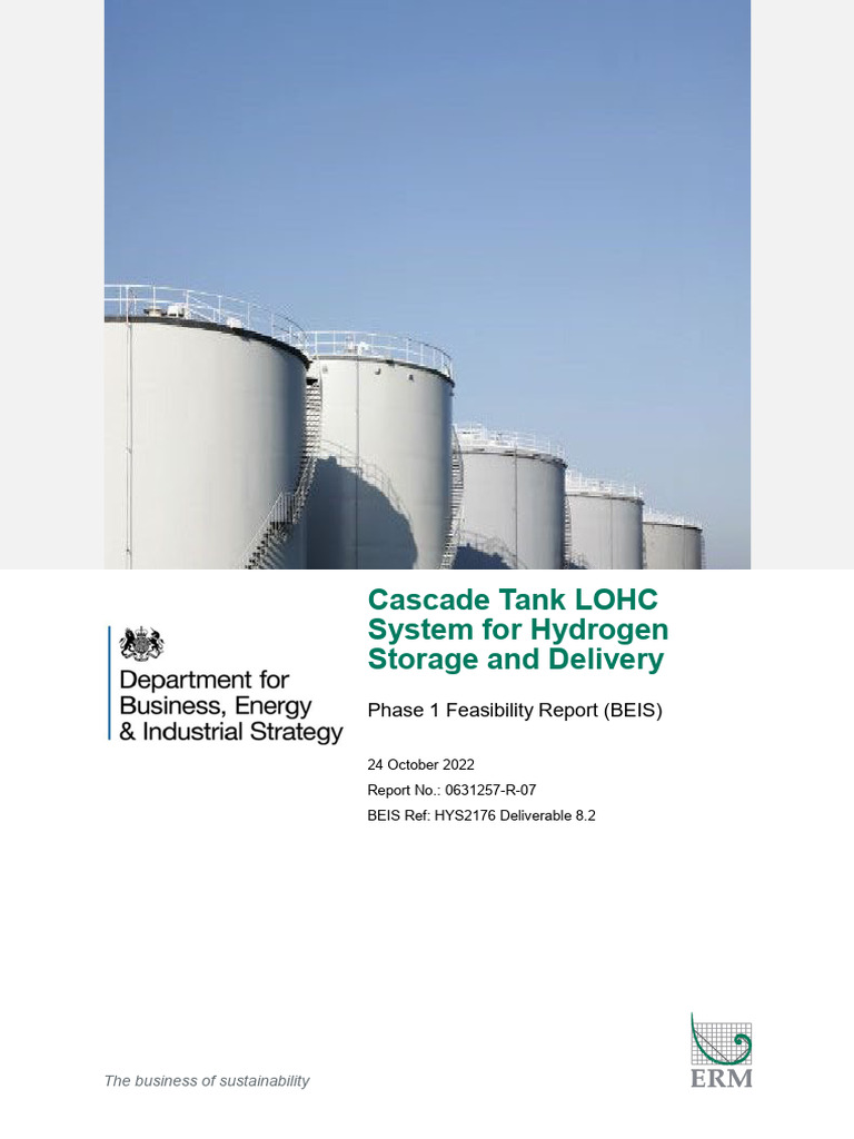 HYS2176 ERM Final Feasibility Report Public | PDF