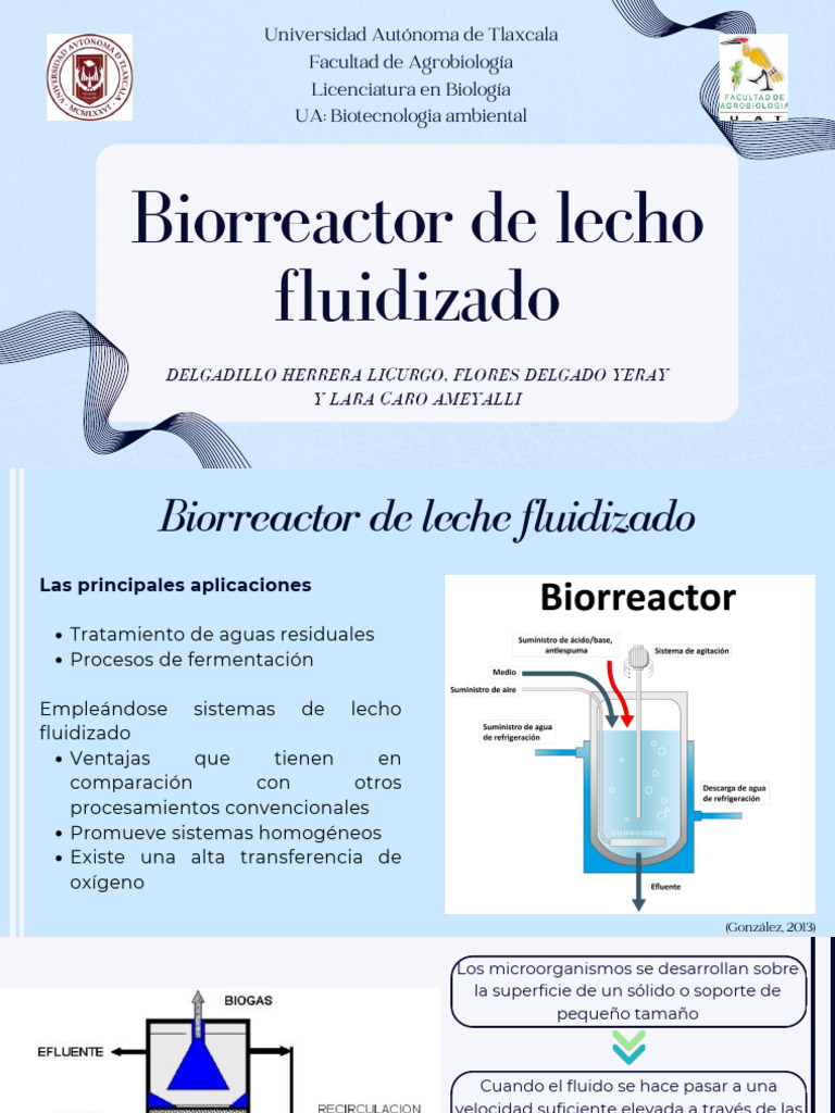 Biorreactor de lecho fluidizado | PDF