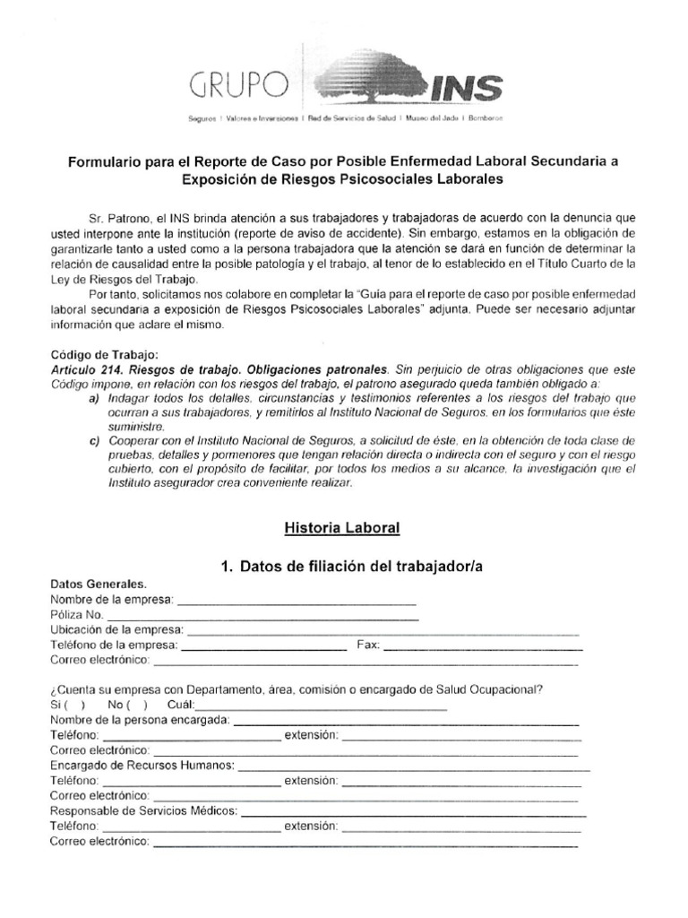 Formulario INS (1) | PDF