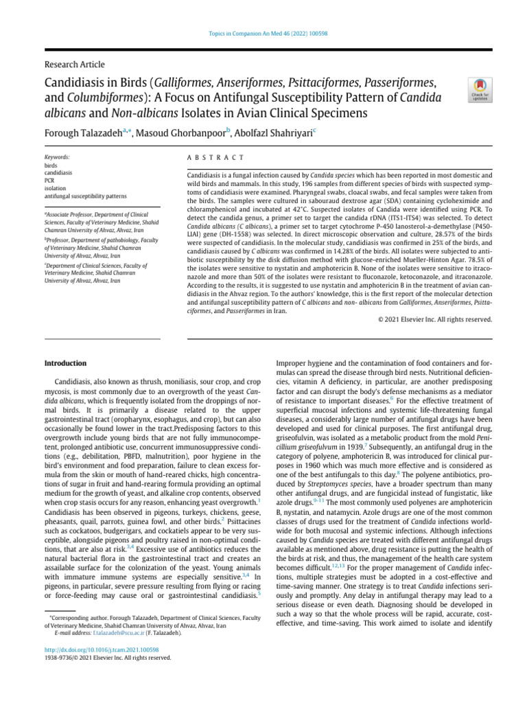 Candida Albicans | PDF