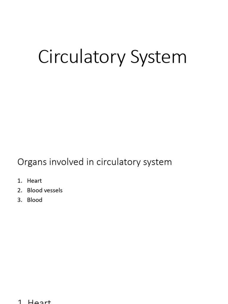 Circulatory System Presentation | PDF