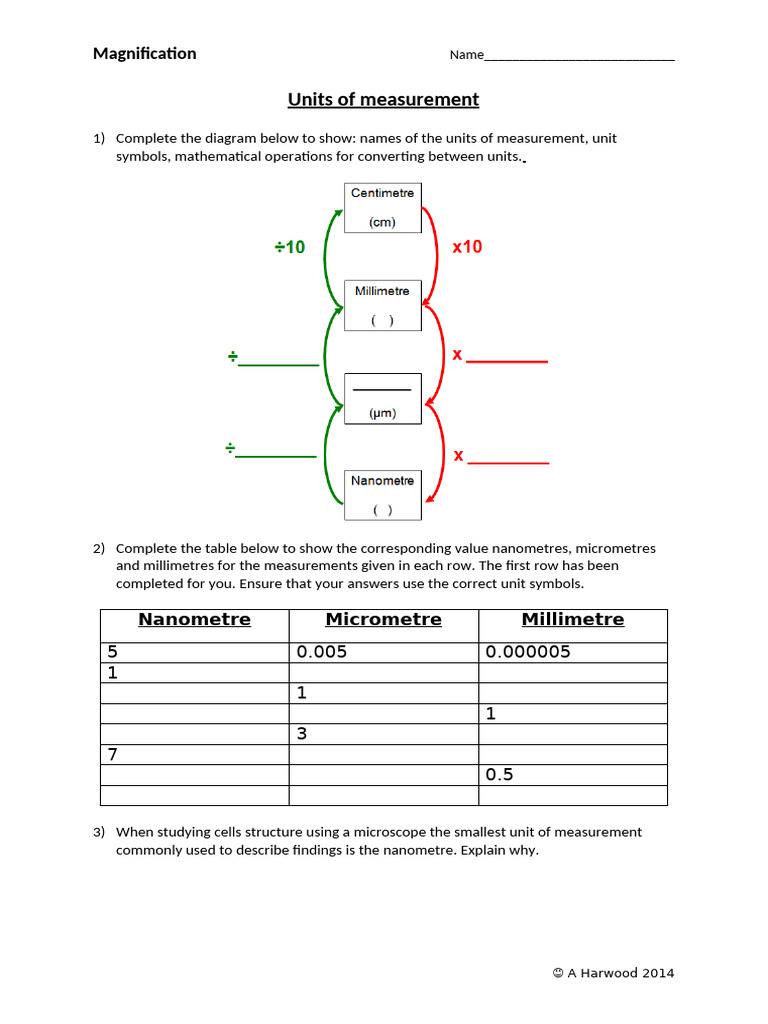 Magnification Workbook | PDF