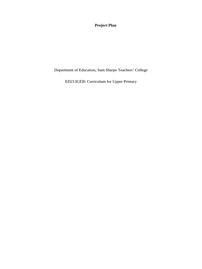 SAMPLE Project Plan (3-4 Weeks) | PDF