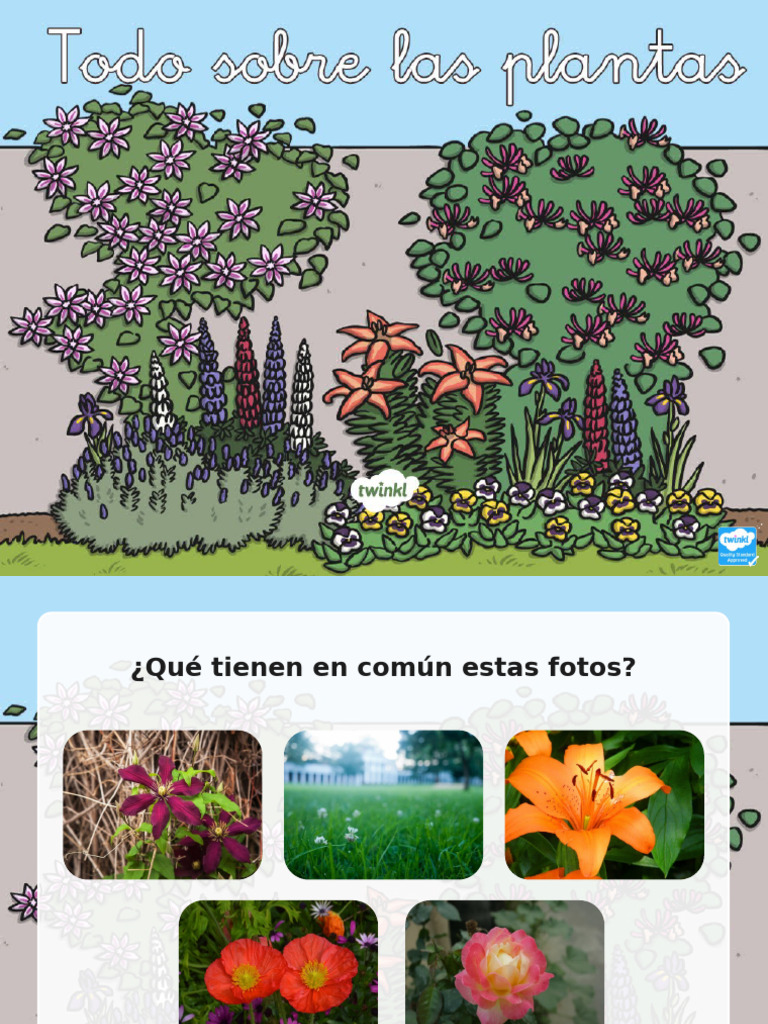 PPT-plantas-presentacion | PDF