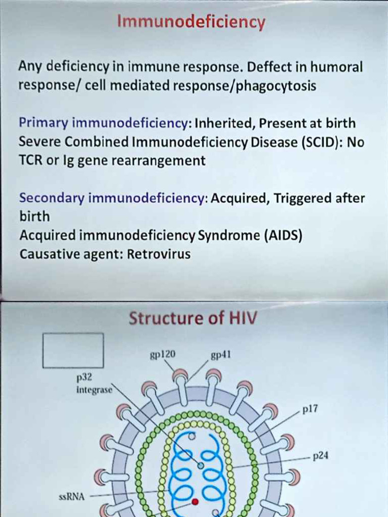 Immunodeficiency & Immune Response | PDF