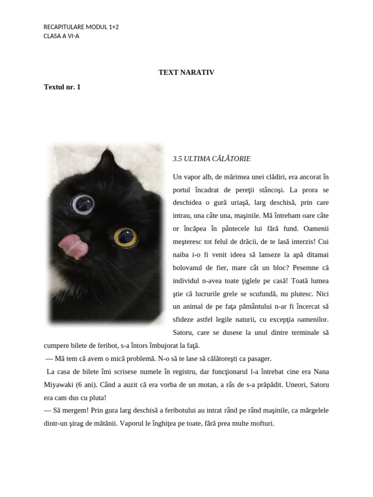 TEXT NARATIV Recapitulare Modul 1 +2 | PDF