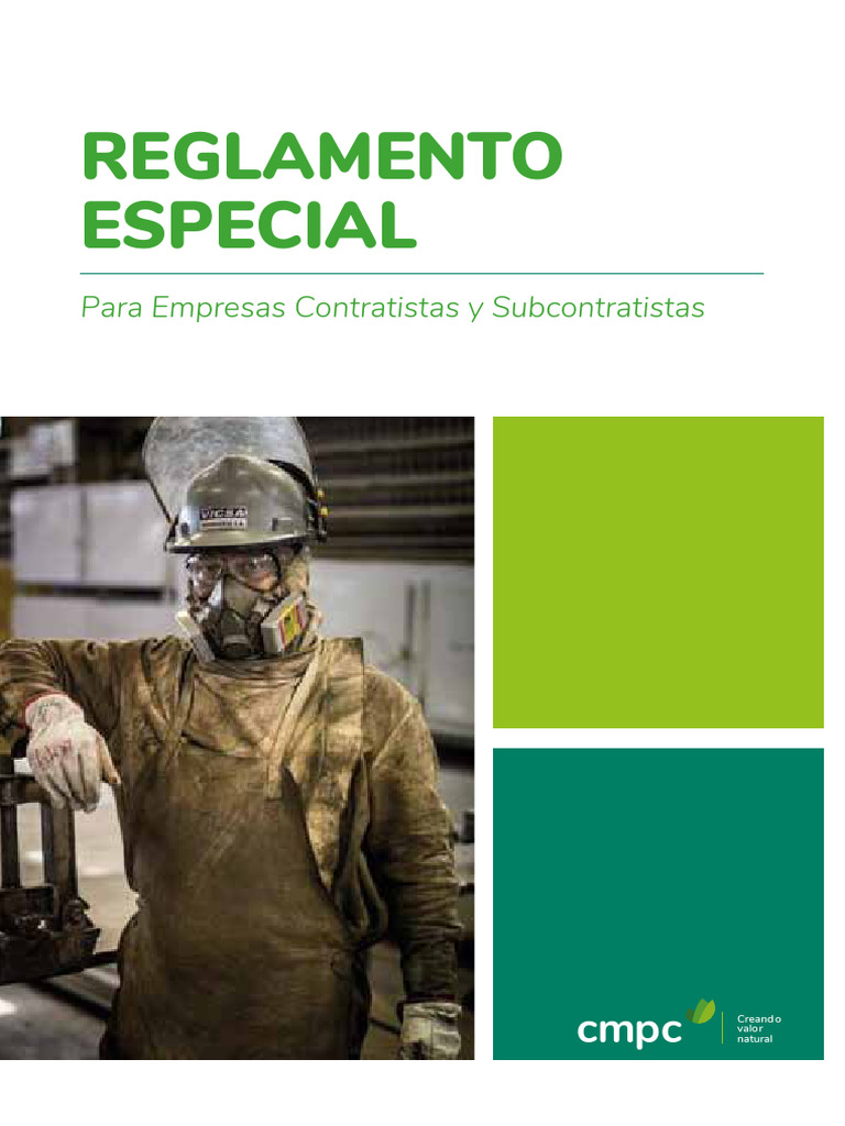 Reecs CMPC Pulp. V2 | PDF