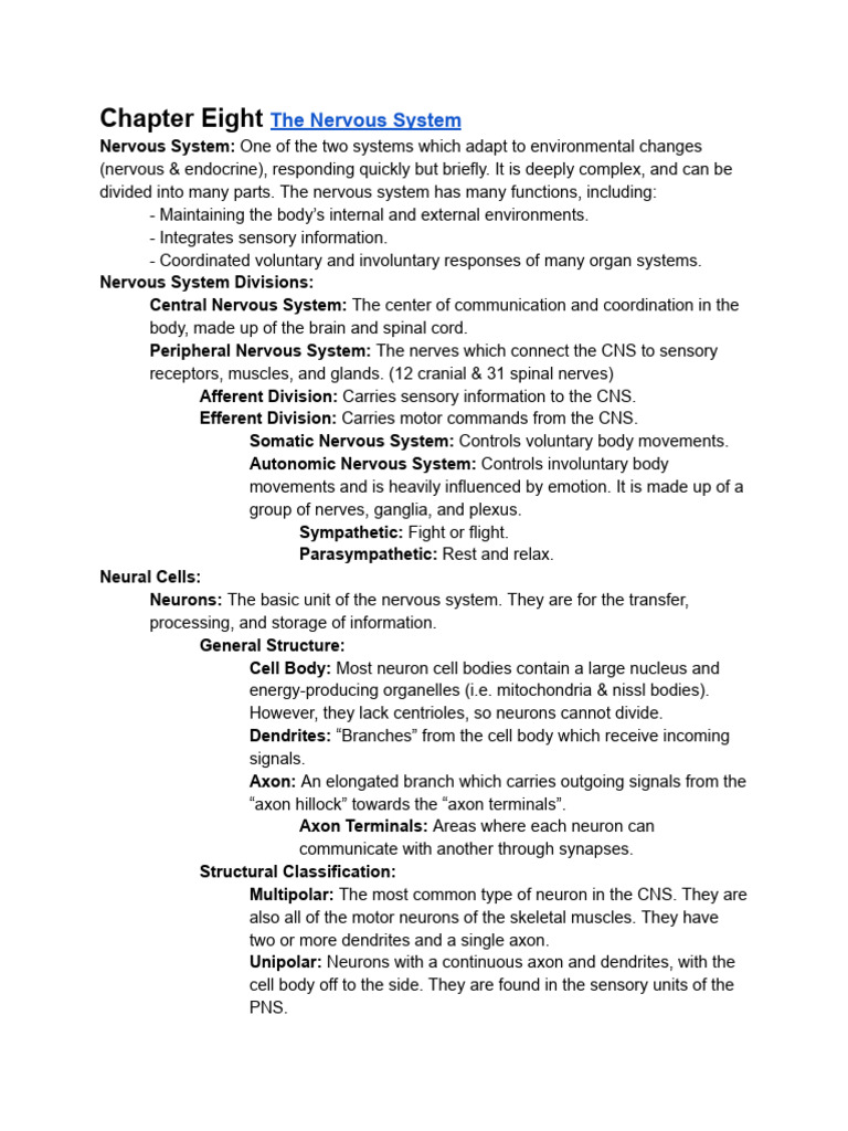 Anatomy and Physiology Notes Chapter 8 - Nervous System-2 | PDF