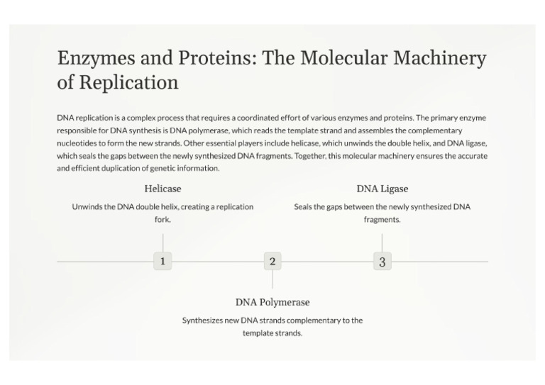 Enzymes and Proteins - The Mole | PDF