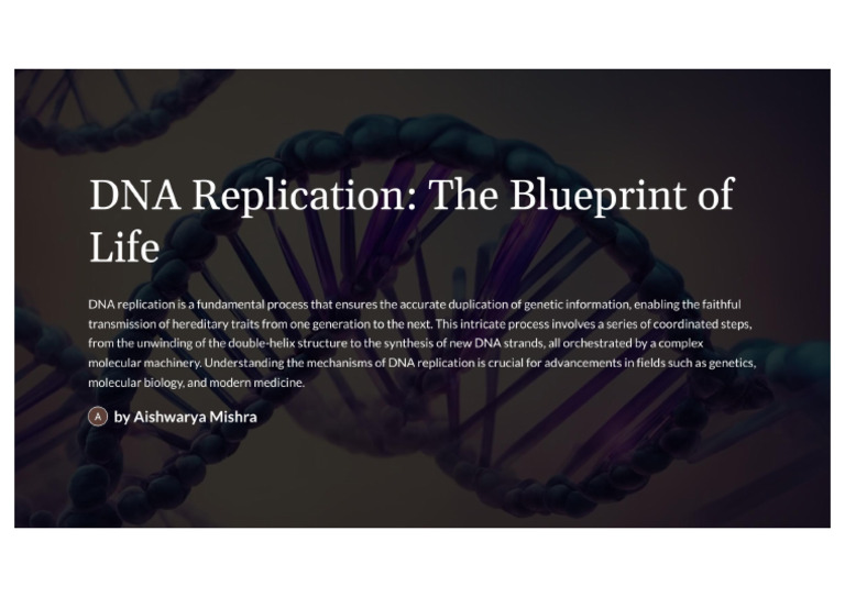 DNA Replication - The Blueprint | PDF