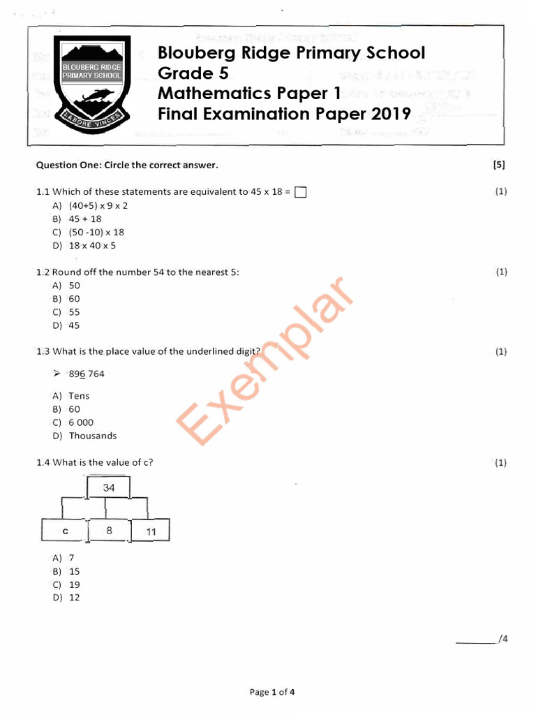 Grade 5 Mathematics Paper 1 Final Examination 2019 1 | PDF