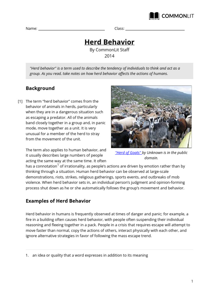 Herd Behavior-Student | PDF