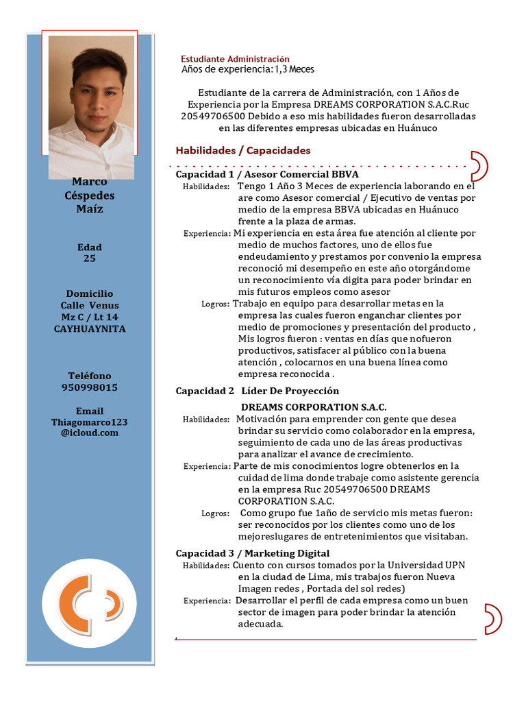 cv asesor | PDF