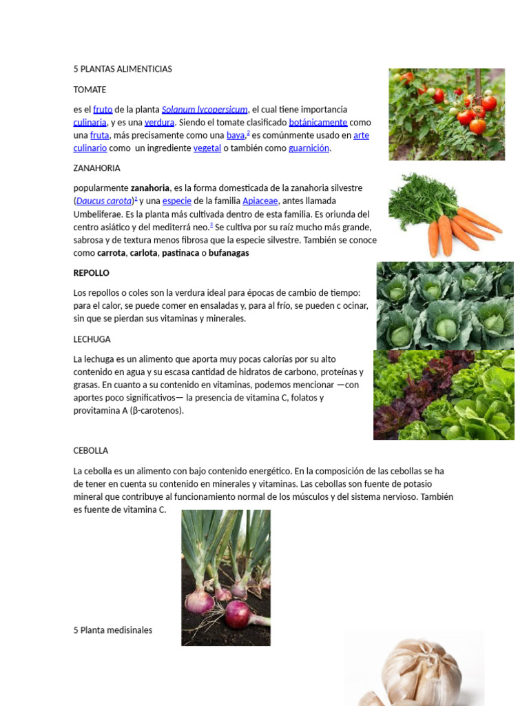 5 Plantas Alimenticias | PDF | café | Vegetales