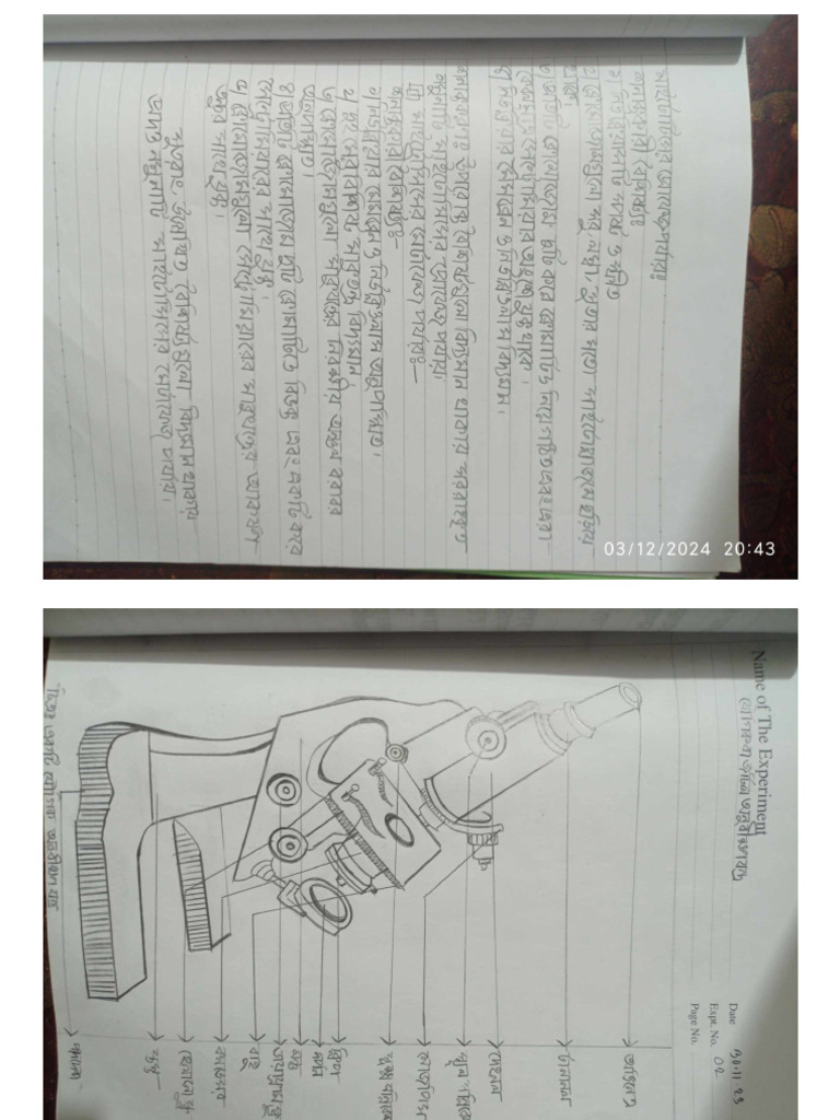 HSC Biology 1st Paper Practical (2024) | PDF