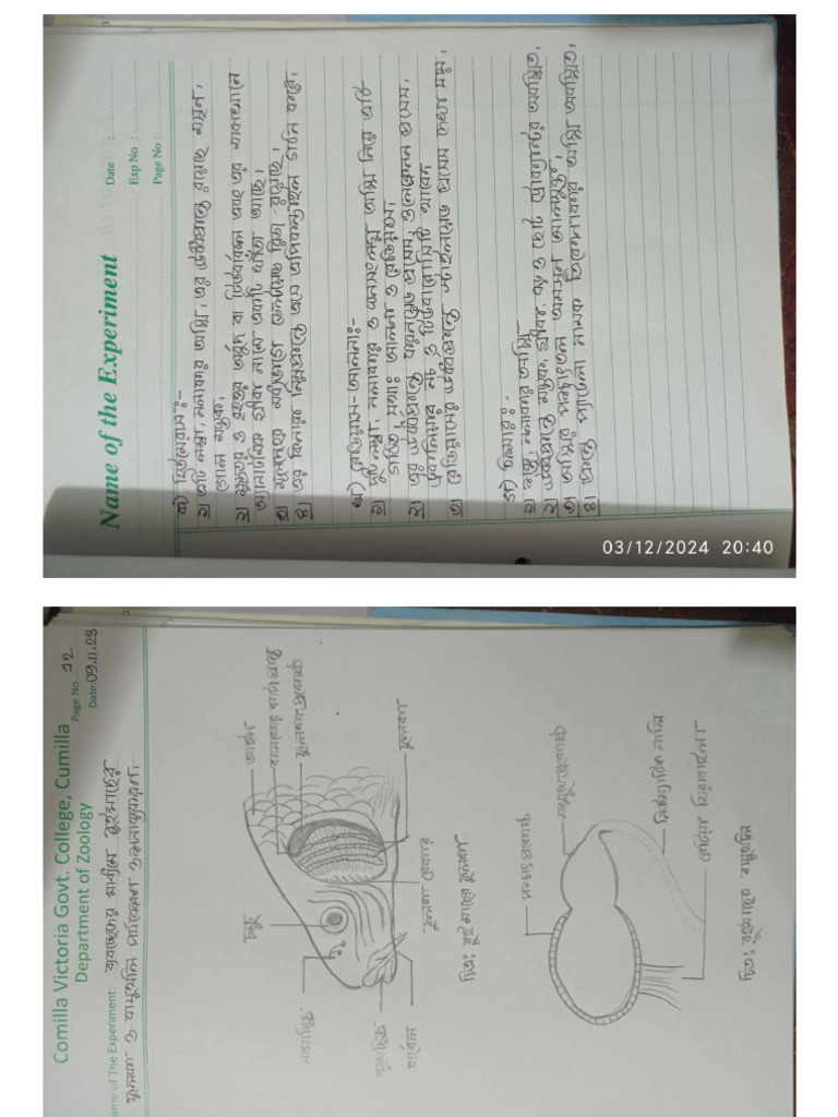 HSC Biology 2nd paper practical(2024) | PDF