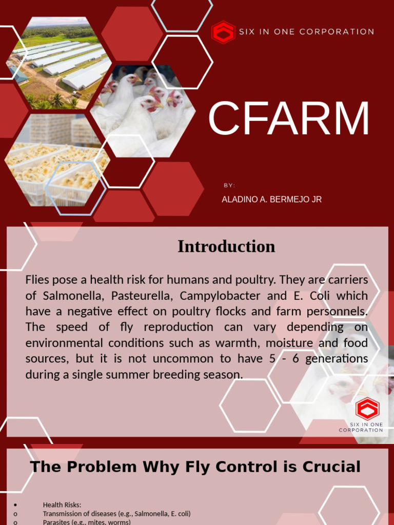 Fly Management | PDF