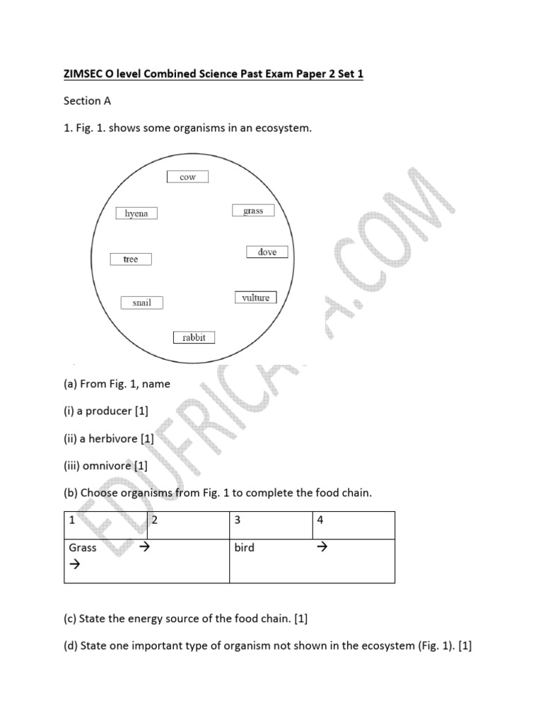 ZIMSEC O Level Combined Science Past Exam Paper 2 Set 1 | PDF