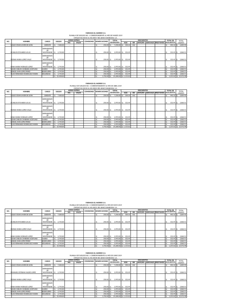 Libro de Planillas | PDF
