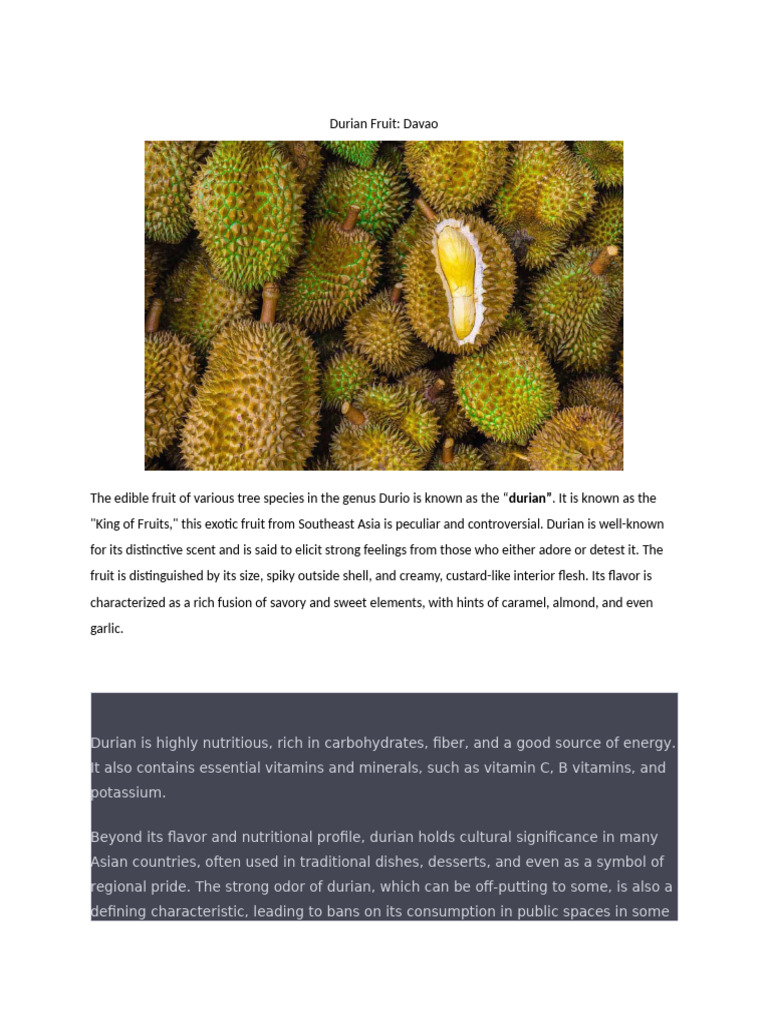 Durian Fruit | PDF