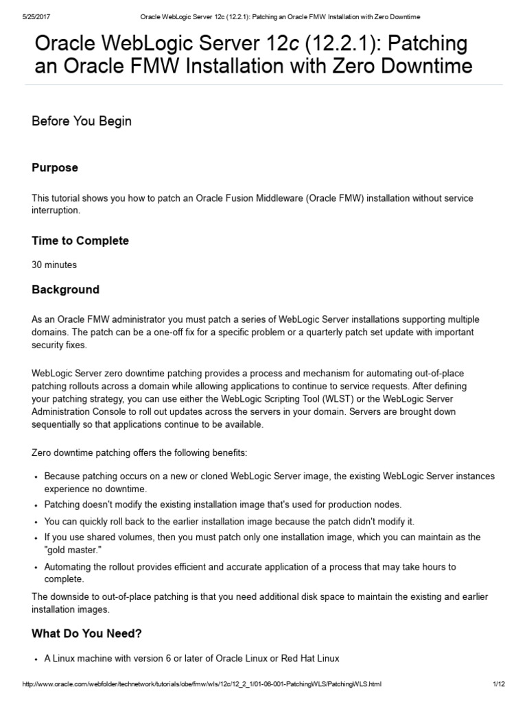 Zero Downtime Patching | PDF