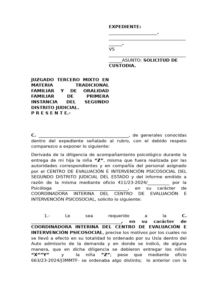 Solicitud de Custodia Formato | PDF