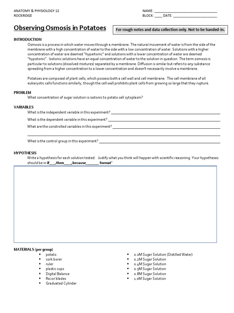 Observing Osmosis in Potato Lab | PDF