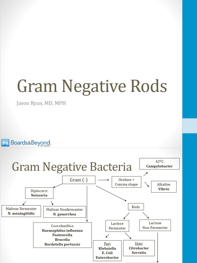 Gram Negative Rods Atf | PDF