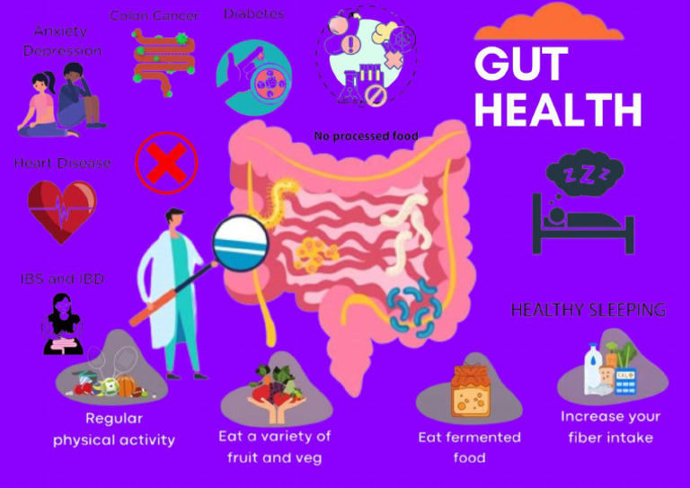 Gut Health | PDF