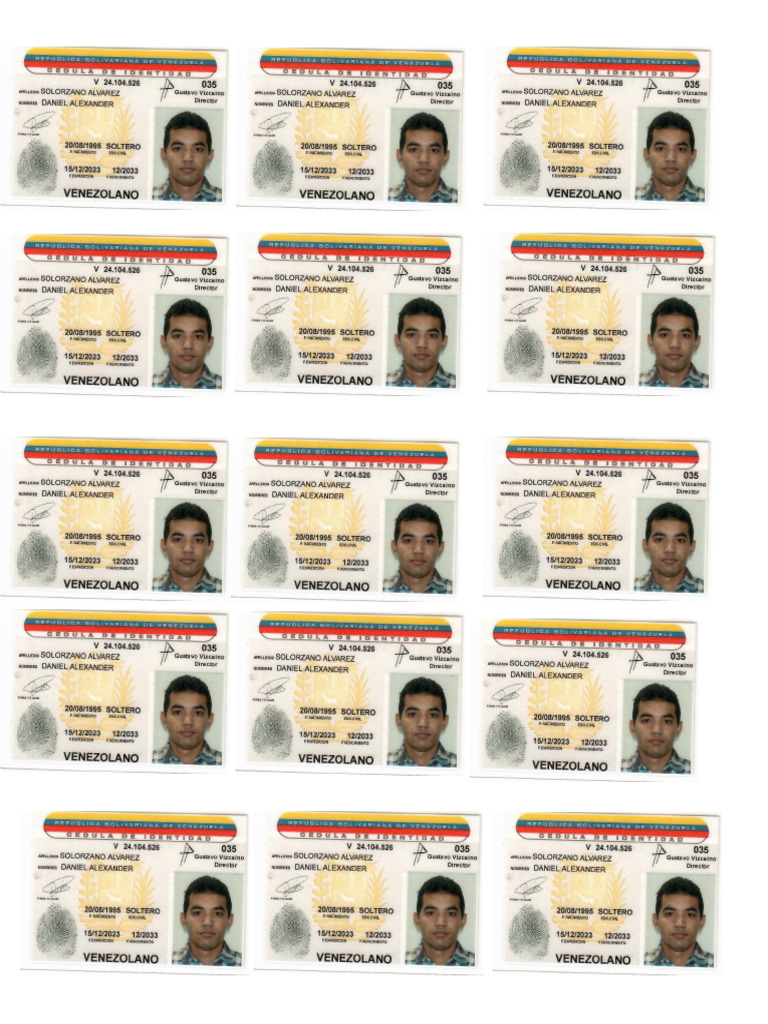 Cedulas Daniel Solorzano | PDF