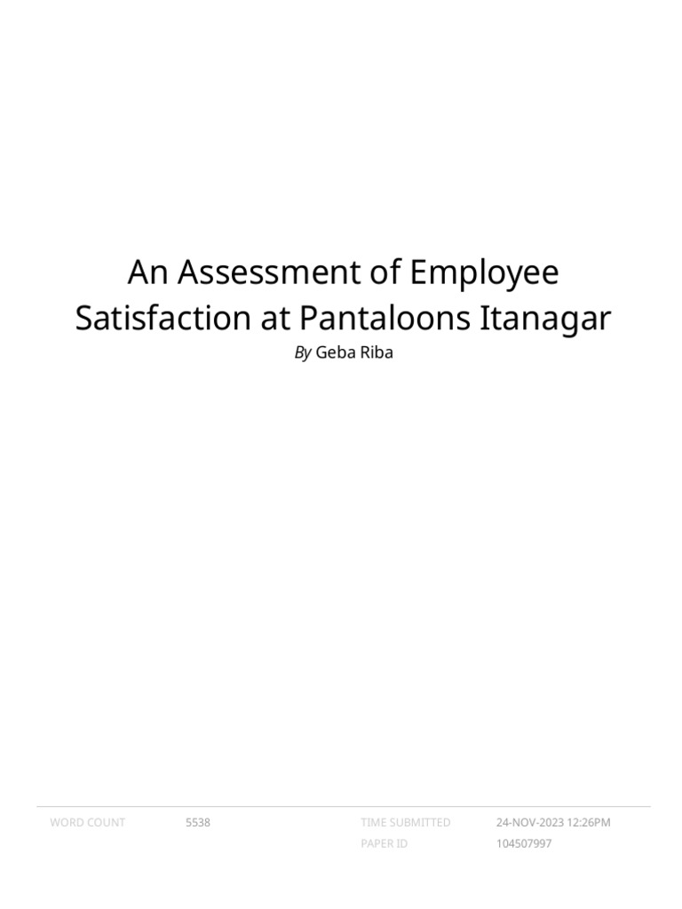 a job satisfaction report | PDF