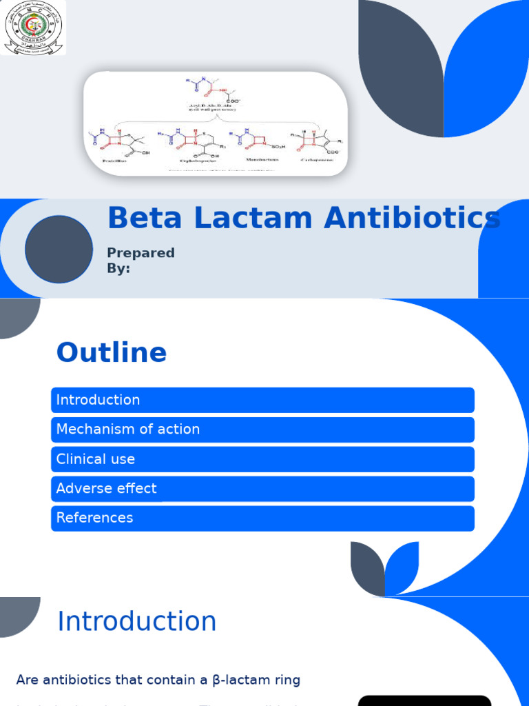 Beta Lactam Antibiotics | PDF