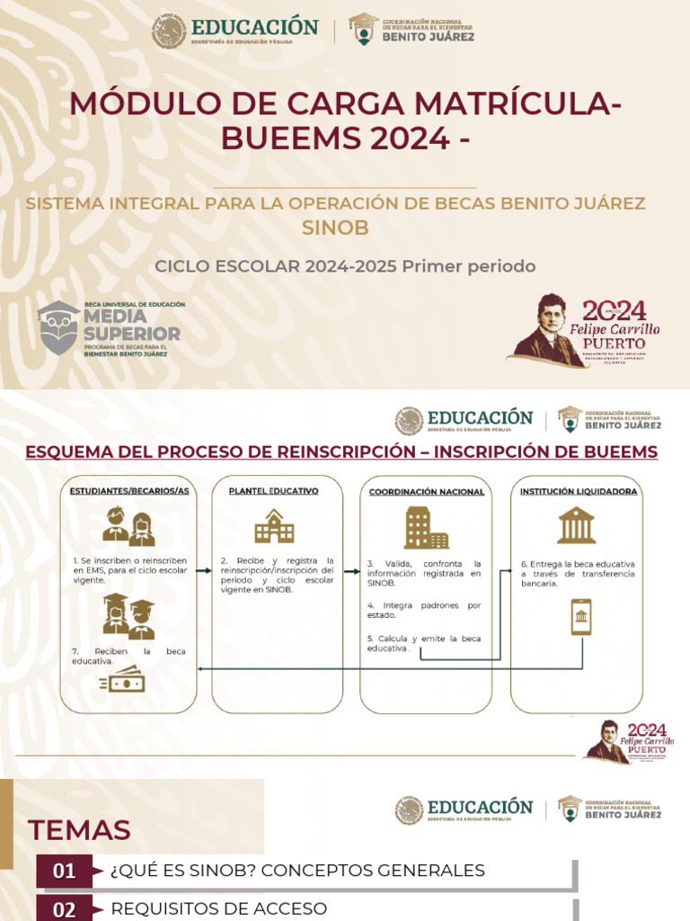 Carga Masiva Matricula Ems Sinob 2024 | PDF