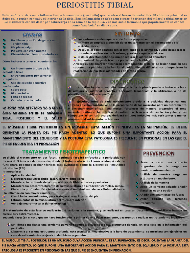 Periostitis Tibial | PDF