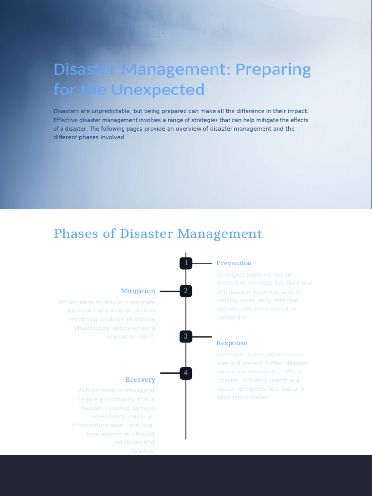 Disaster Management | PDF