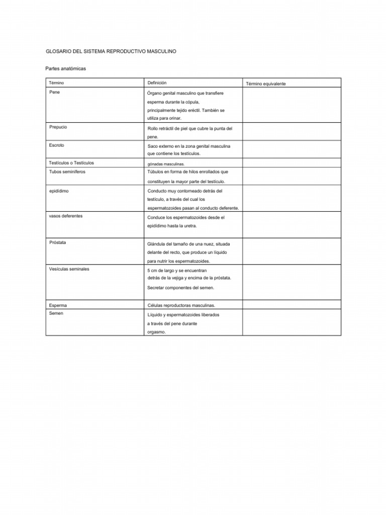 Male Reproductive System Glossary | PDF