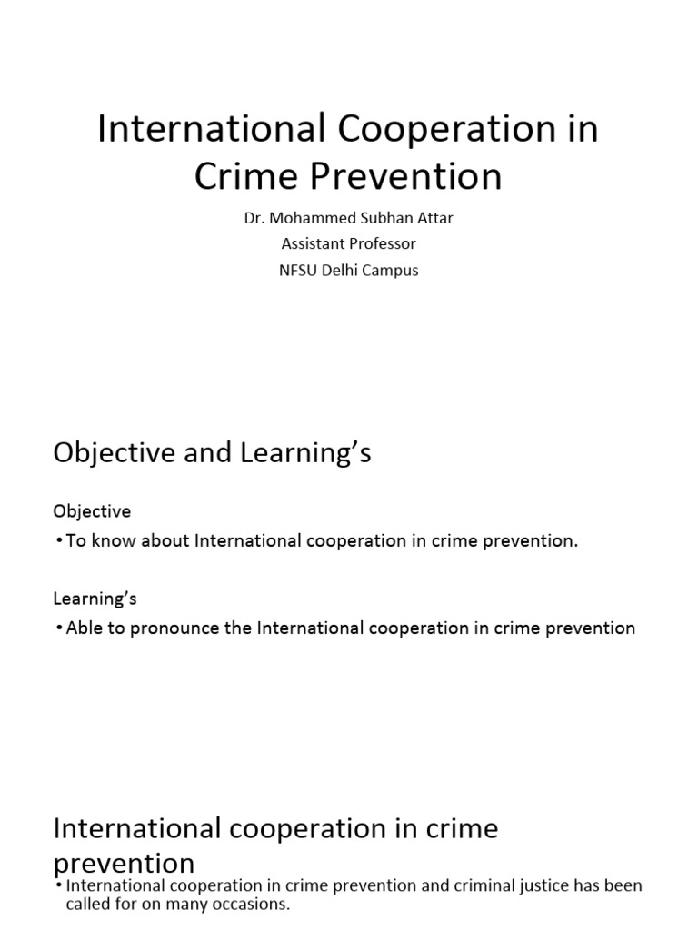 International Cooperation | PDF