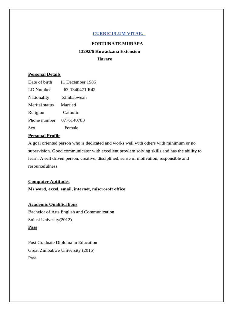CV Template 2024 | PDF