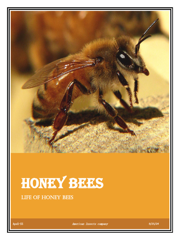 Honey Bees | PDF