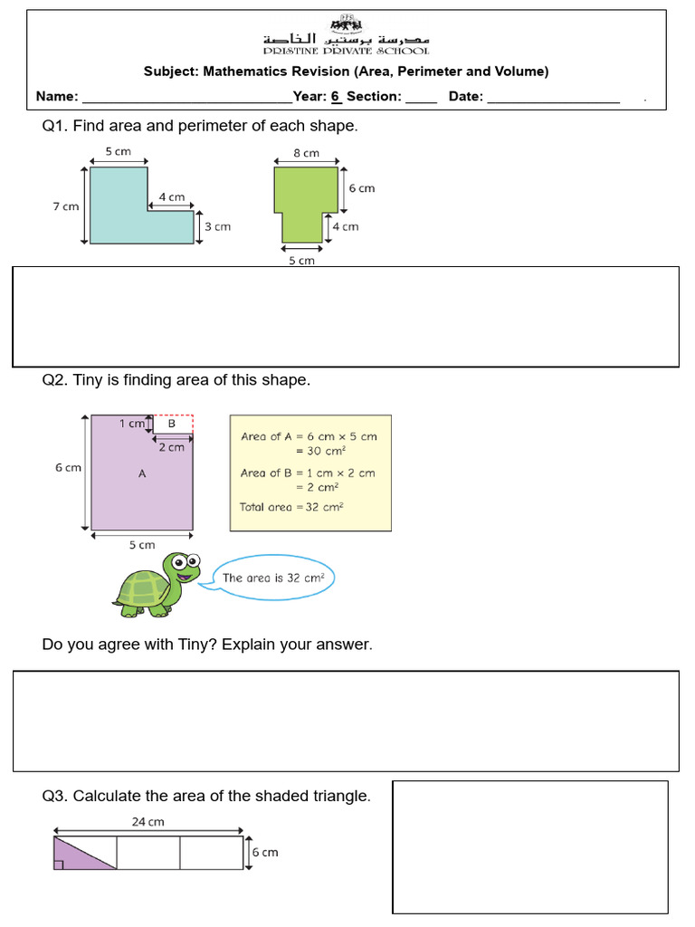 APV Revision Worksheet | PDF