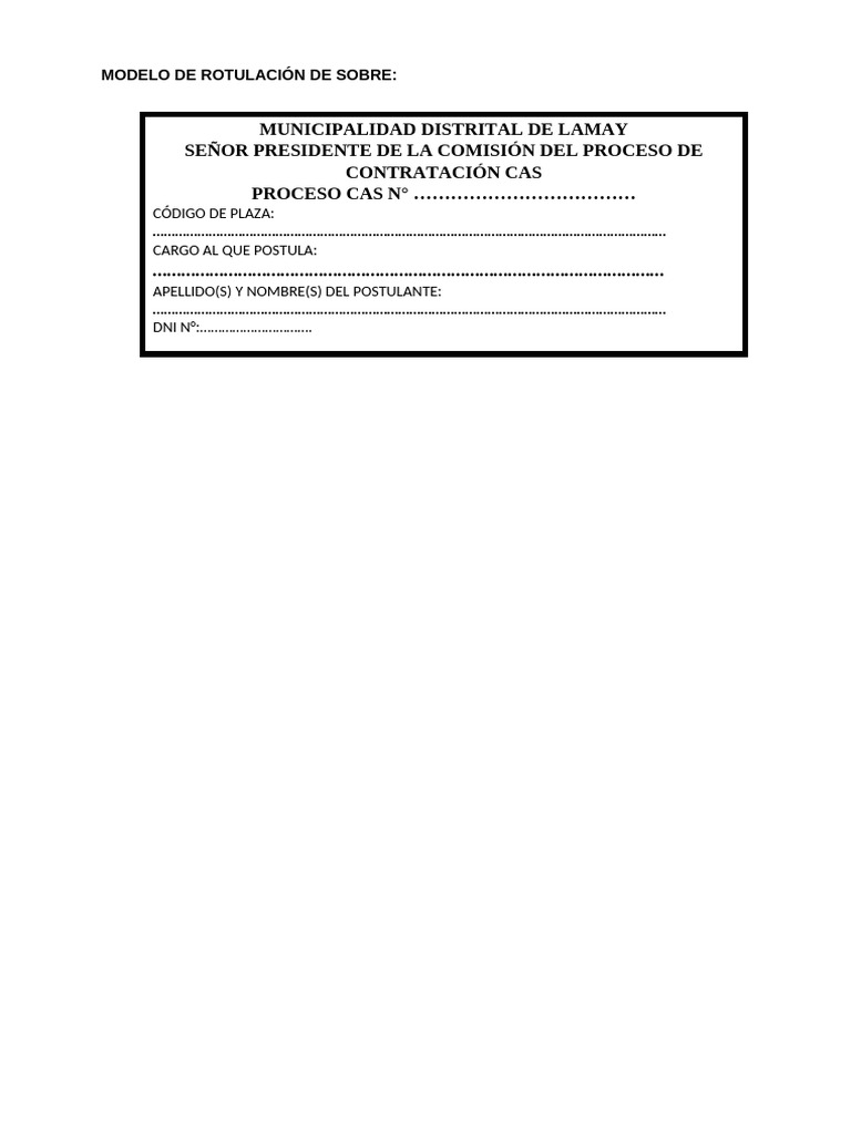 CAS N° 01 2024 MDL- anexos | PDF