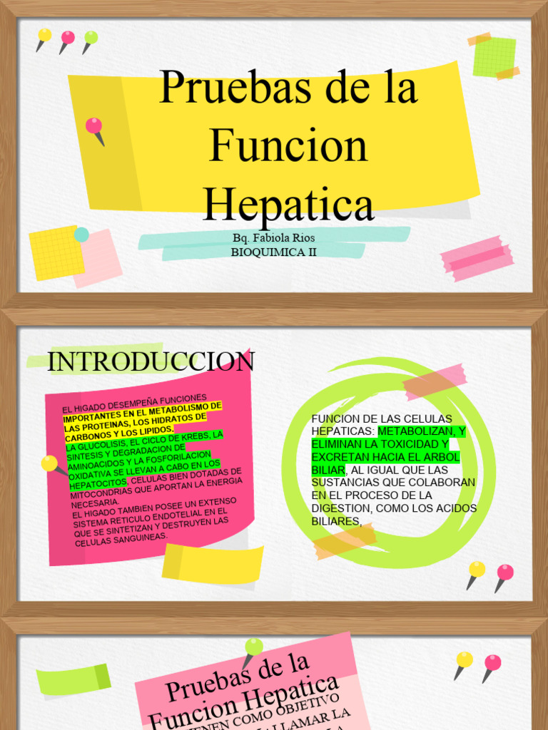 Pruebas de La Funcion Hepatica - 2024 | PDF