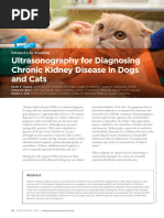 IDEXX Reference Values Dogs Cats | PDF