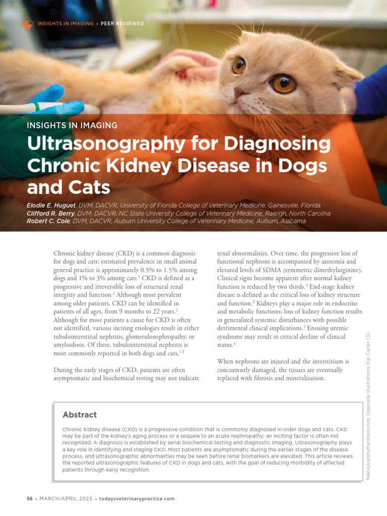 Ultrasonography For Diagnosing Chronic Kidney Disease in Dogs and Cats ...