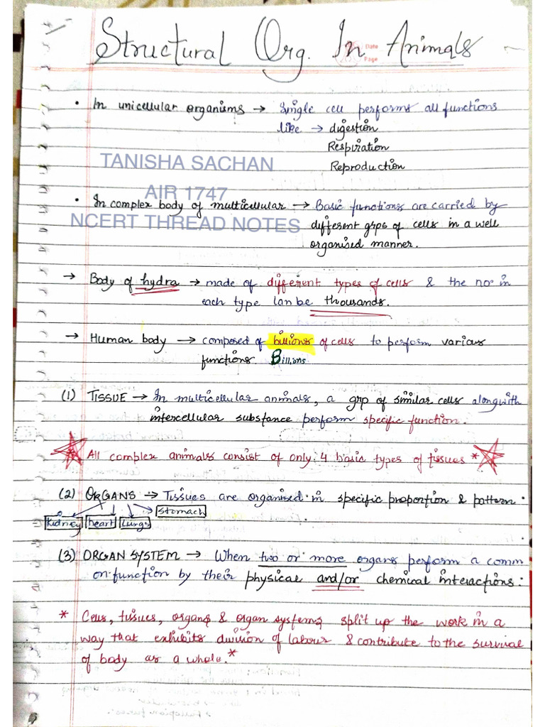 Structural Organization of Animals Ncert Thread Notes | PDF