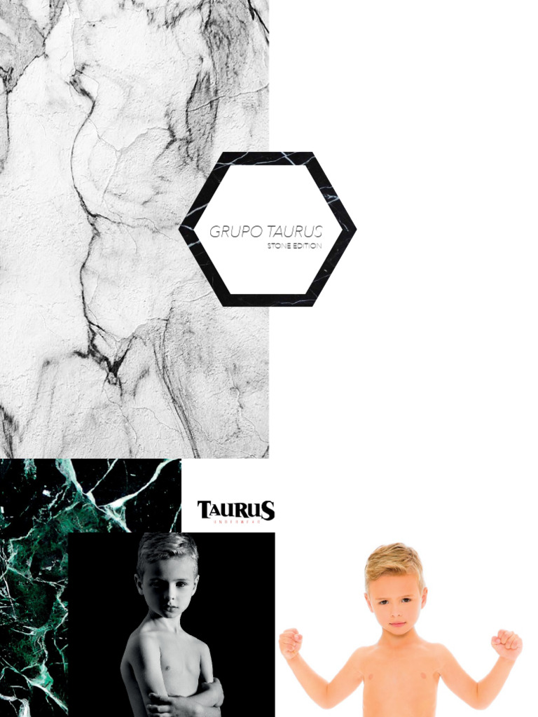 Catálogo Virtual Taurus | PDF